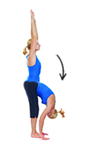 Forward Fold Stretch - Beaumaris Physio